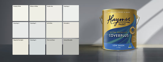Coverplus - Haymes Paint